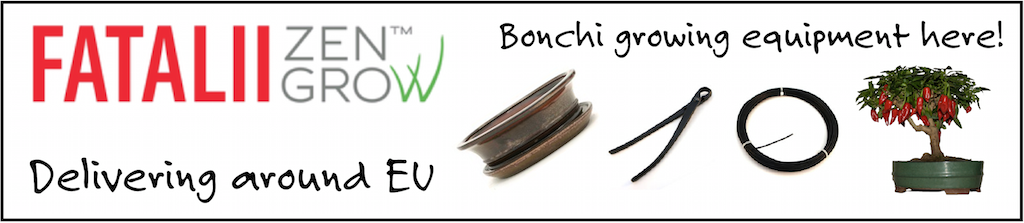 Fatalii's Growing Guide - Bonsai Chiles! (Bonchi)